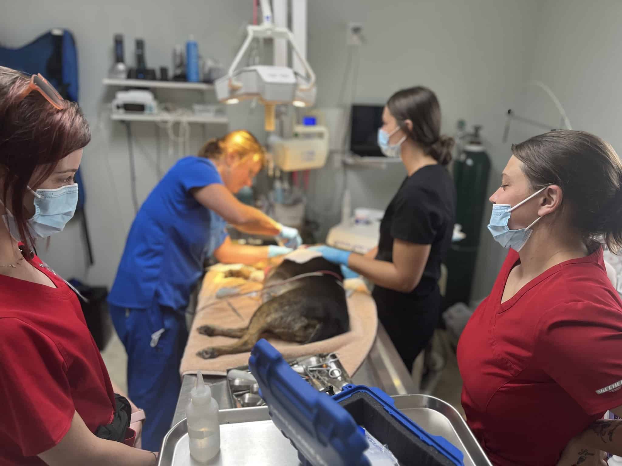 Blogs | Medical Career & Technical College